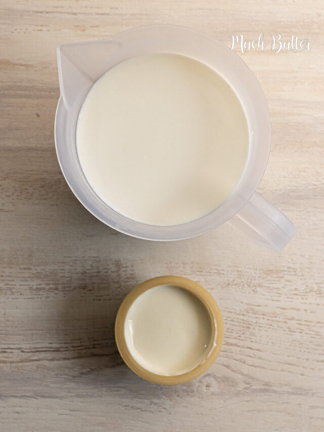 How to Make Homemade Yogurt (Easy 2-Ingredient Recipe) - Much Butter